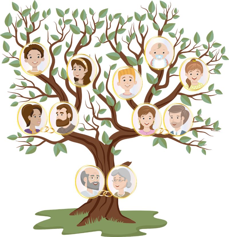 Best WordPress Family Tree Plugin Website Fabricator