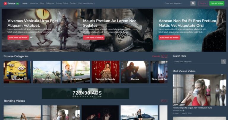 Best WordPress Theme for a YouTube Channel | Website Fabricator