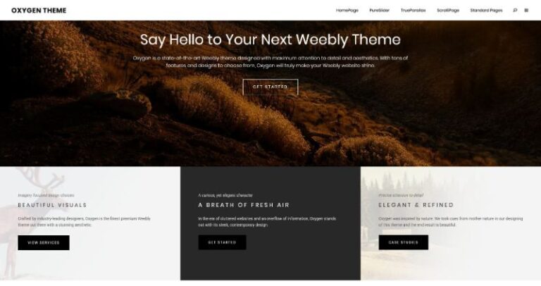 Best Weebly Theme for Fitness | Website Fabricator