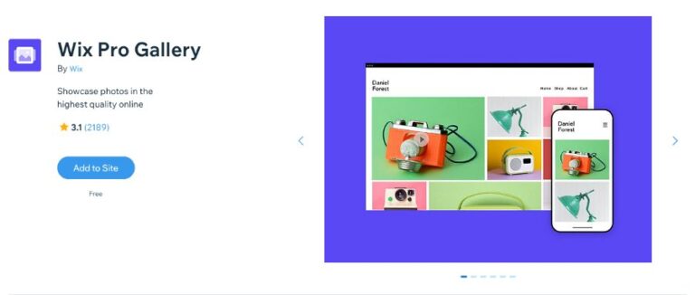 Best Wix Template for Artists | Website Fabricator