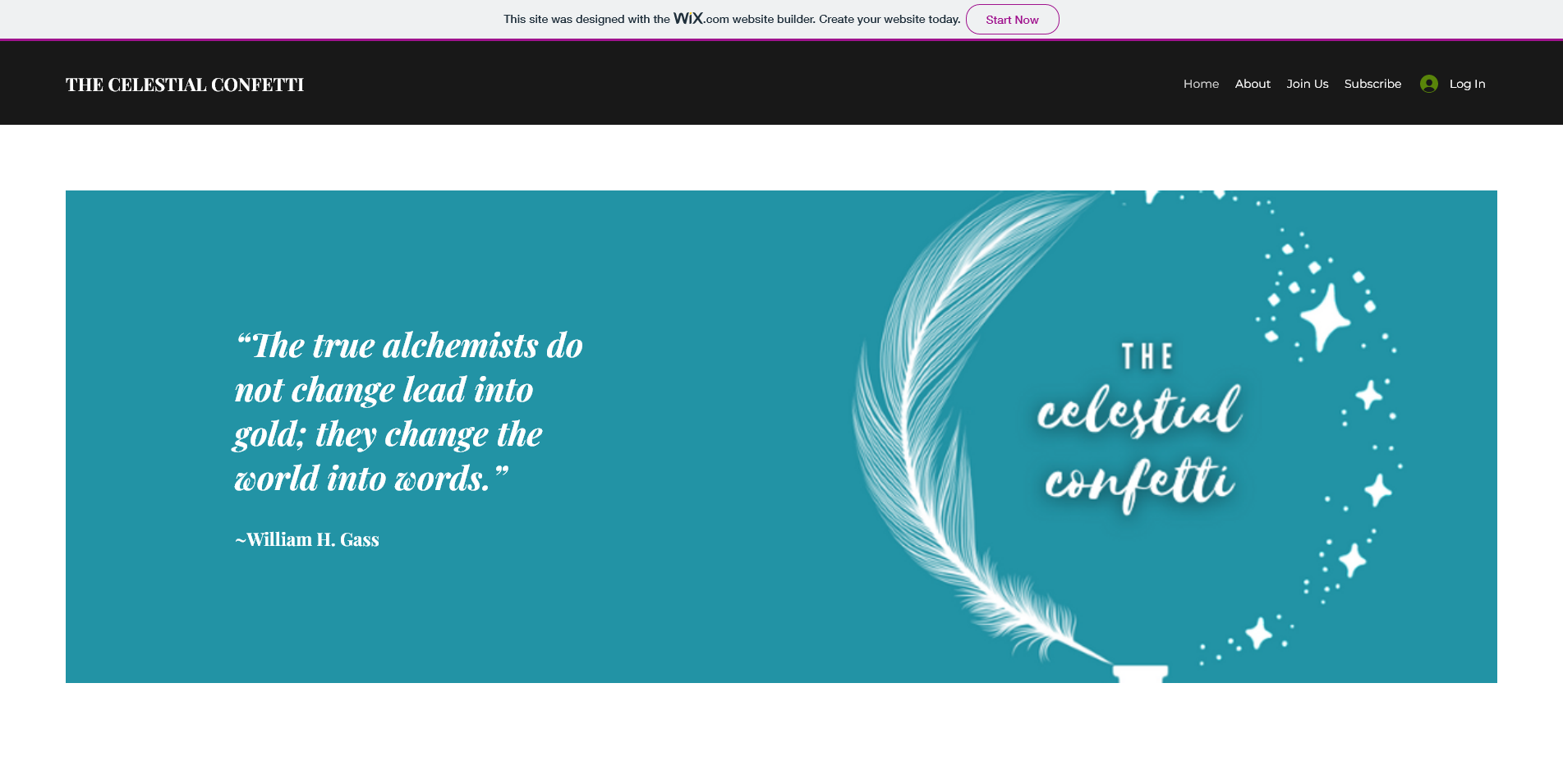What Do Wix Ads Look Like? | Website Fabricator