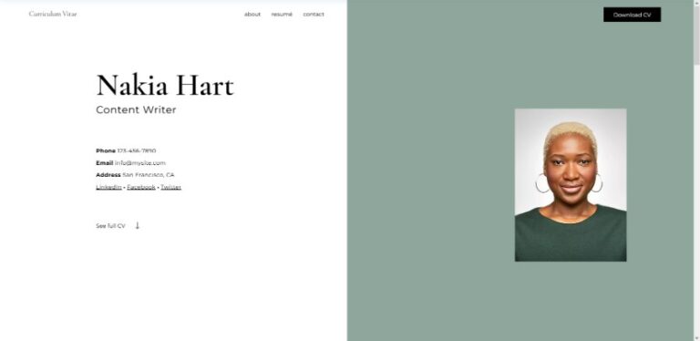 Best Wix Template for a Resume | Website Fabricator