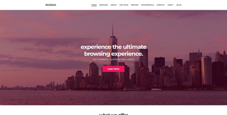 Best WordPress Themes for Google Ranking | 42+ SEO Friendly WordPress Themes